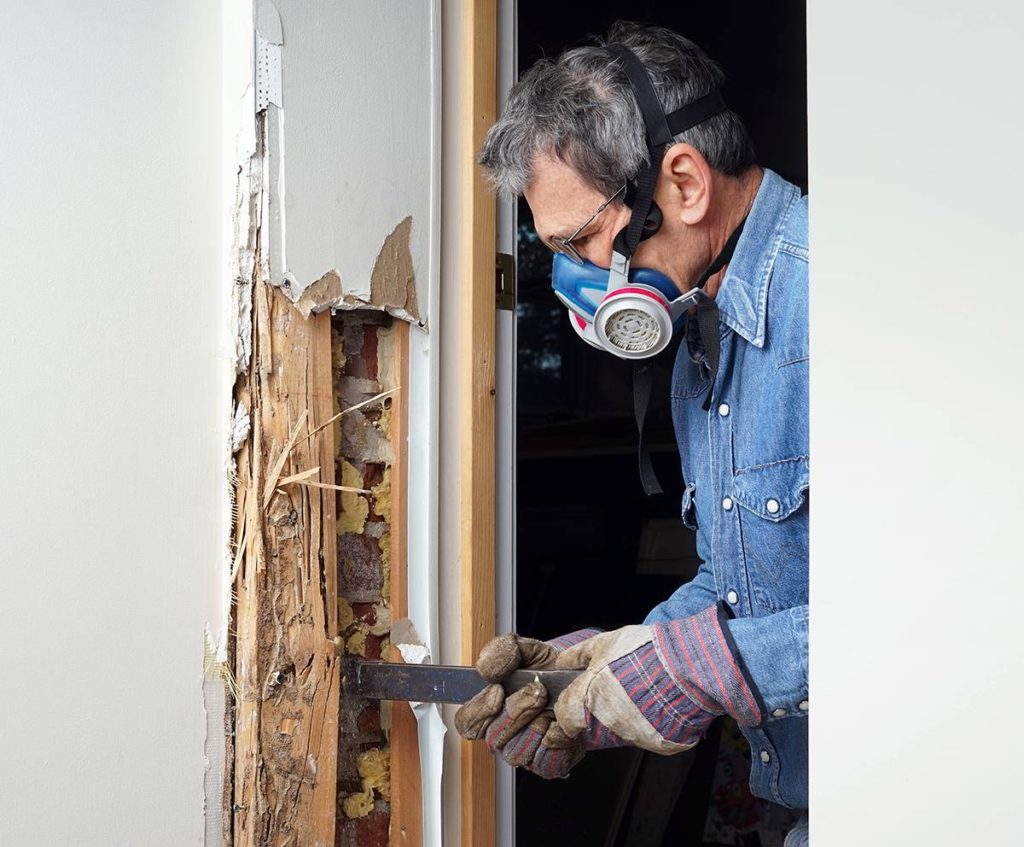 BETTER LOREM IPSUM GENERATOR - Tri-State Termite & Pest Control Co.